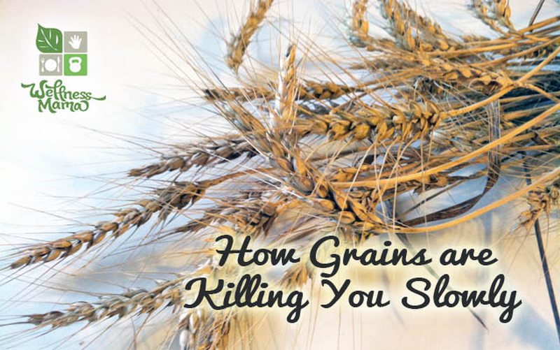 The Primed Life – 20 Reasons to avoid glyphosate poisoned grains and ...