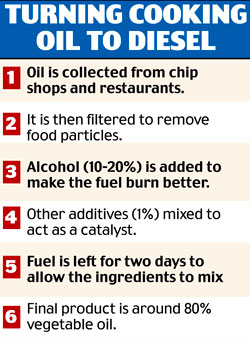 6 Reasons to Avoid Toxic Vegetable Oils -Part 1 | Primed for Your Life
