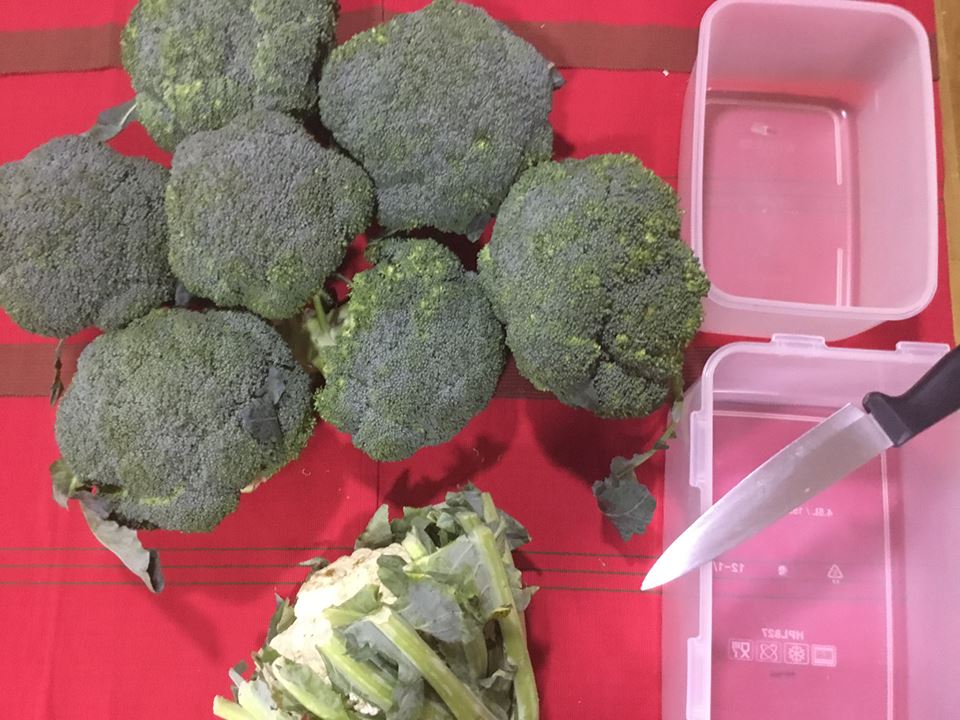 How to Store your Market Fresh Broccoli | Primed for Your Life